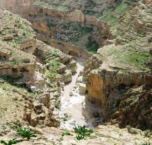 נחל דרגה | ZISI