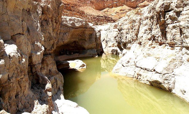 נחל צפית | ZISI