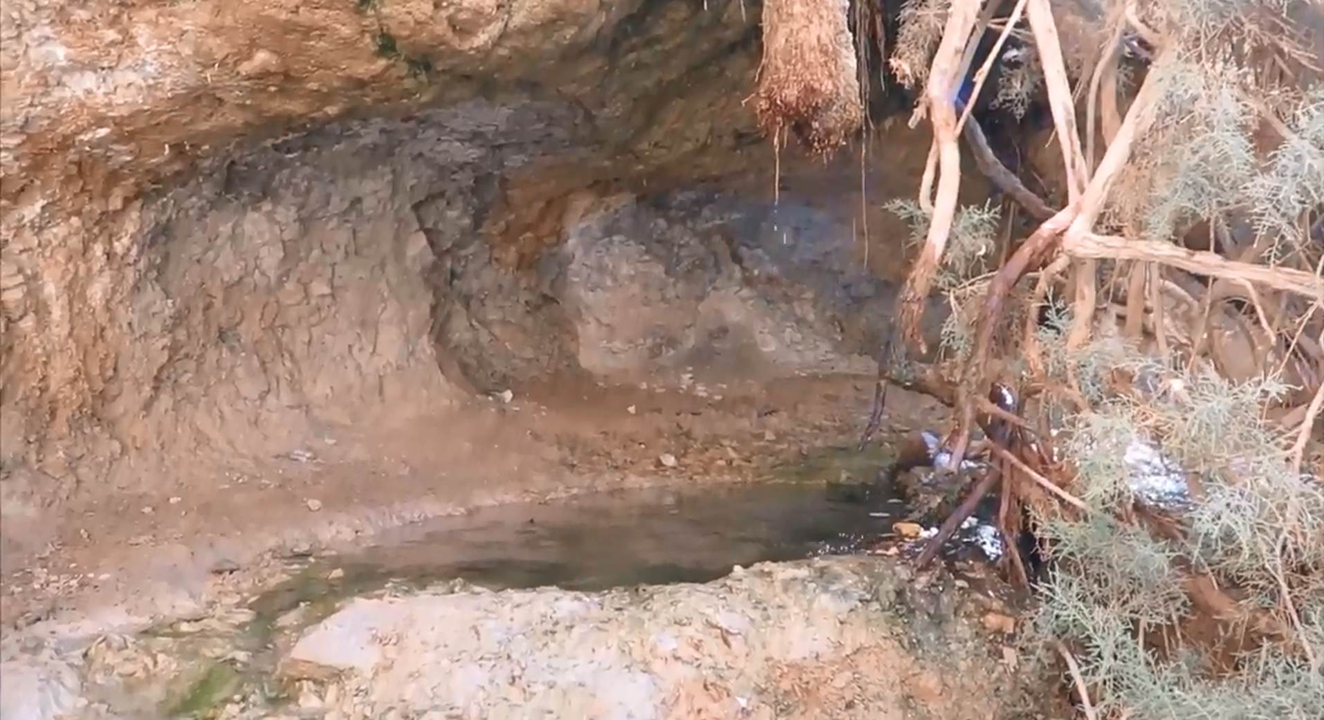 נחל סלוודורה | ZISI